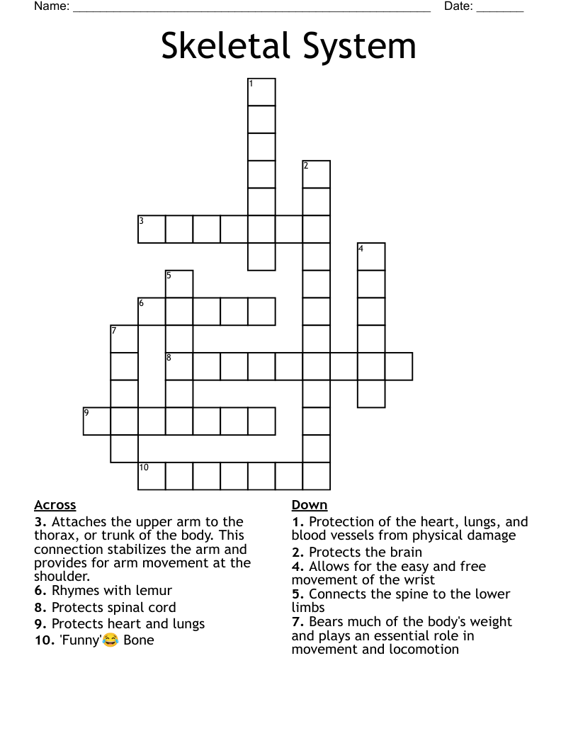 Skeletal System Crossword - WordMint