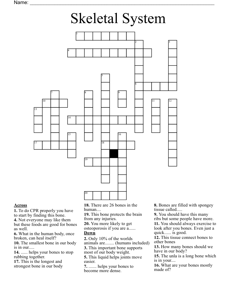 Skeletal System Crossword - WordMint