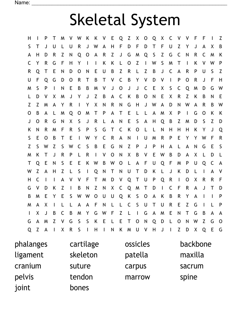 Skeletal System Word Search WordMint