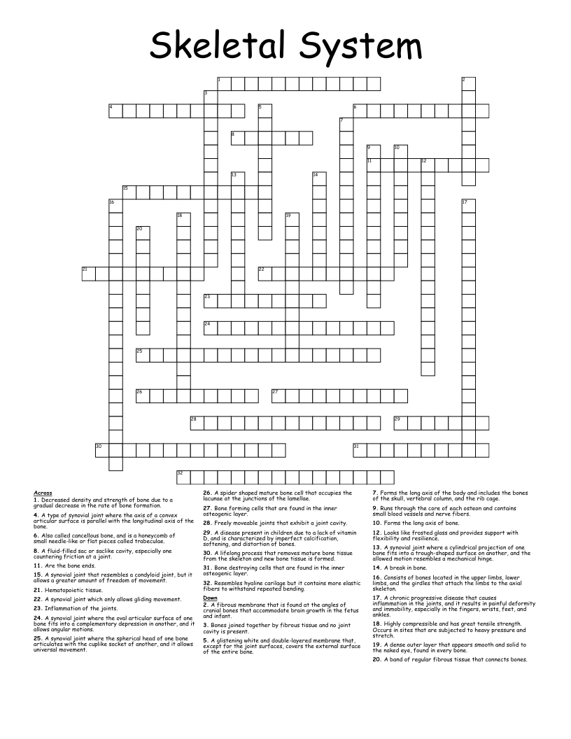 Skeletal System Crossword WordMint