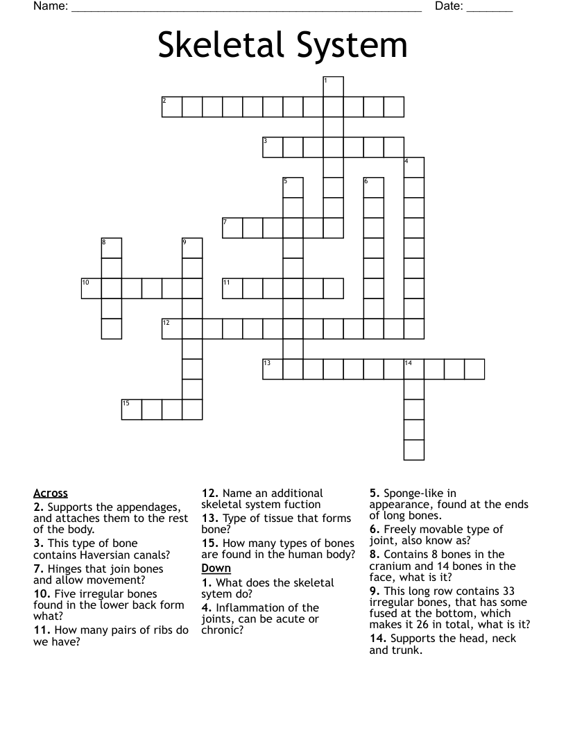 Skeletal System Crossword - WordMint