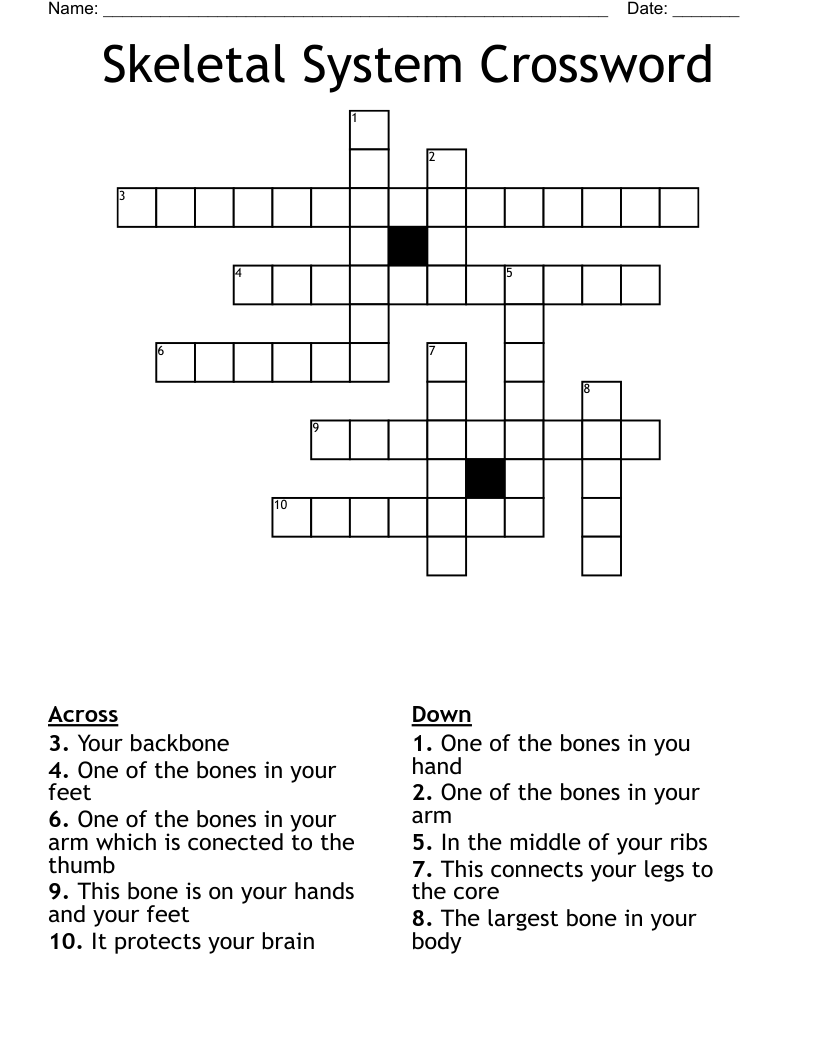 Skeletal System Crossword - WordMint