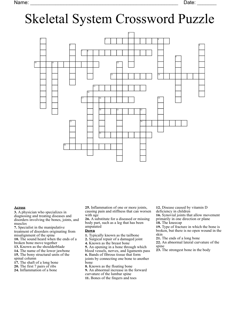 Musculoskeletal System Worksheet WordMint
