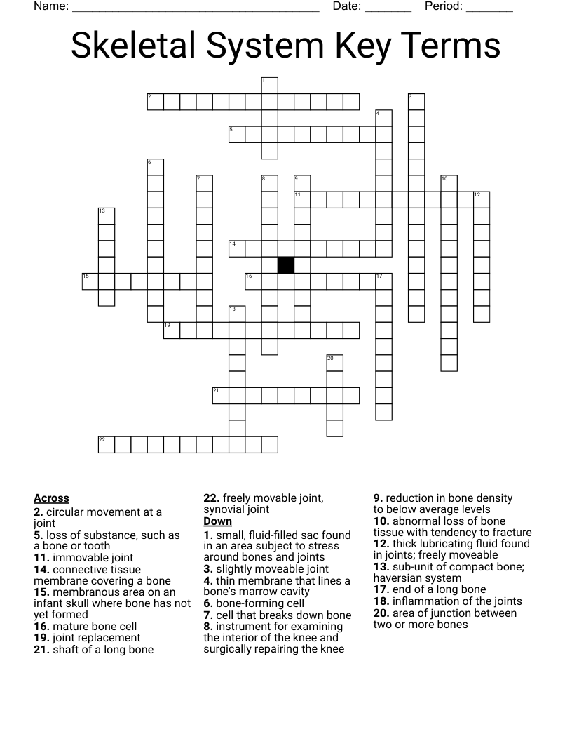 Skeletal System Key Terms Crossword WordMint