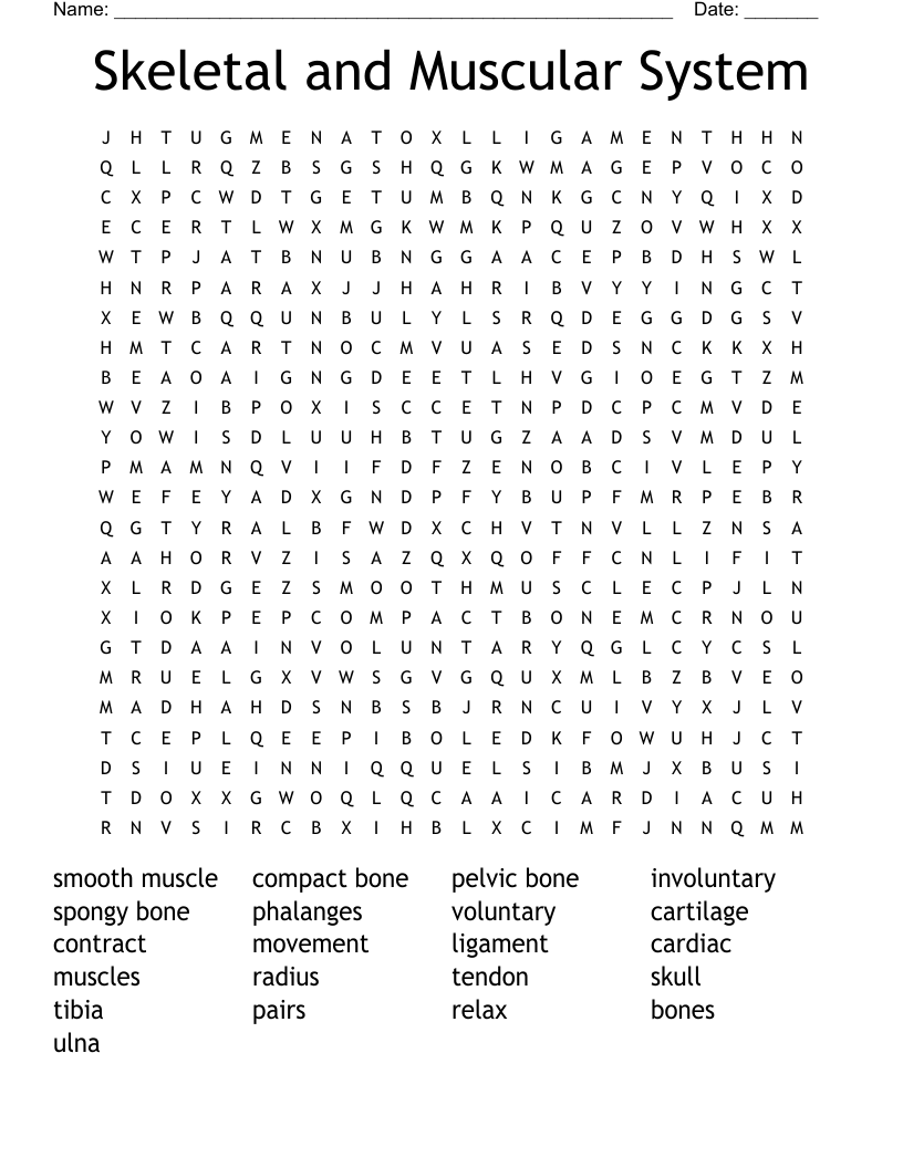 Skeletal And Muscular System Word Search WordMint