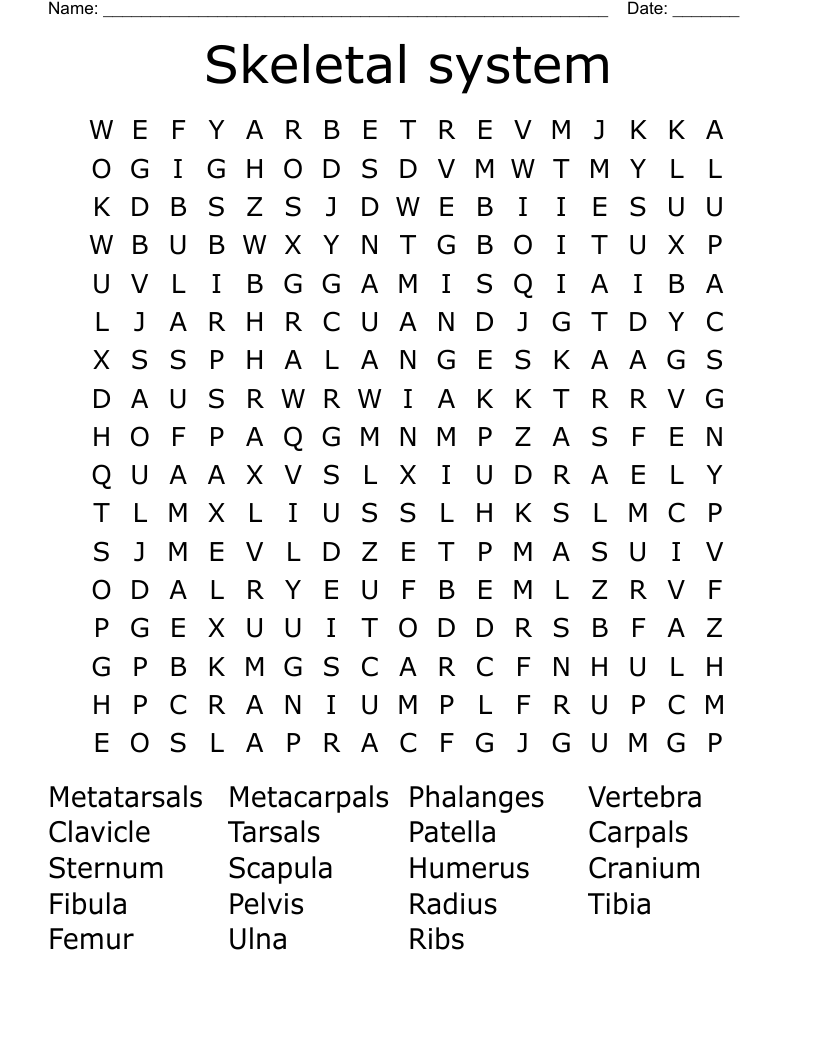 Skeletal System Word Search WordMint