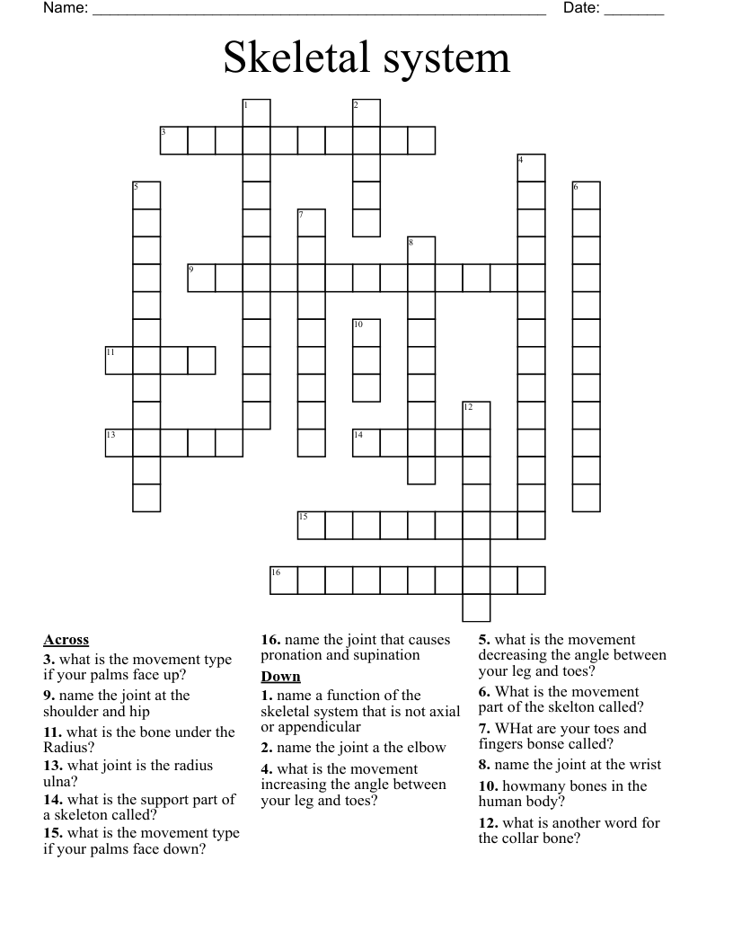 Skeletal system Crossword - WordMint