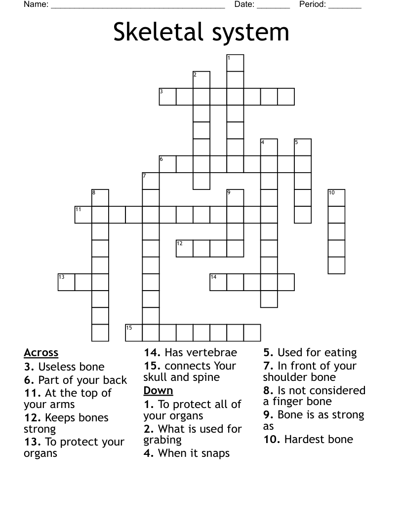 Skeletal system Crossword - WordMint