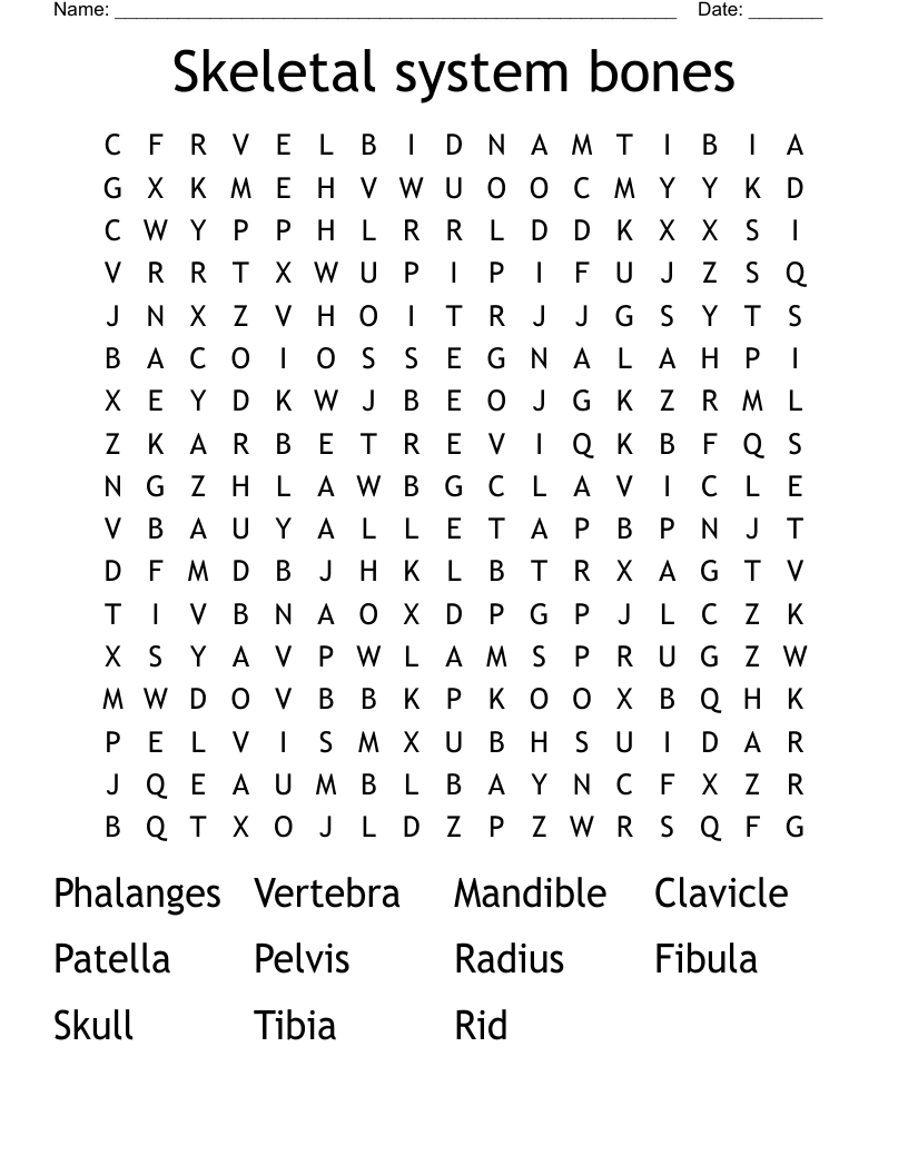 Skeletal system bones Word Search - WordMint