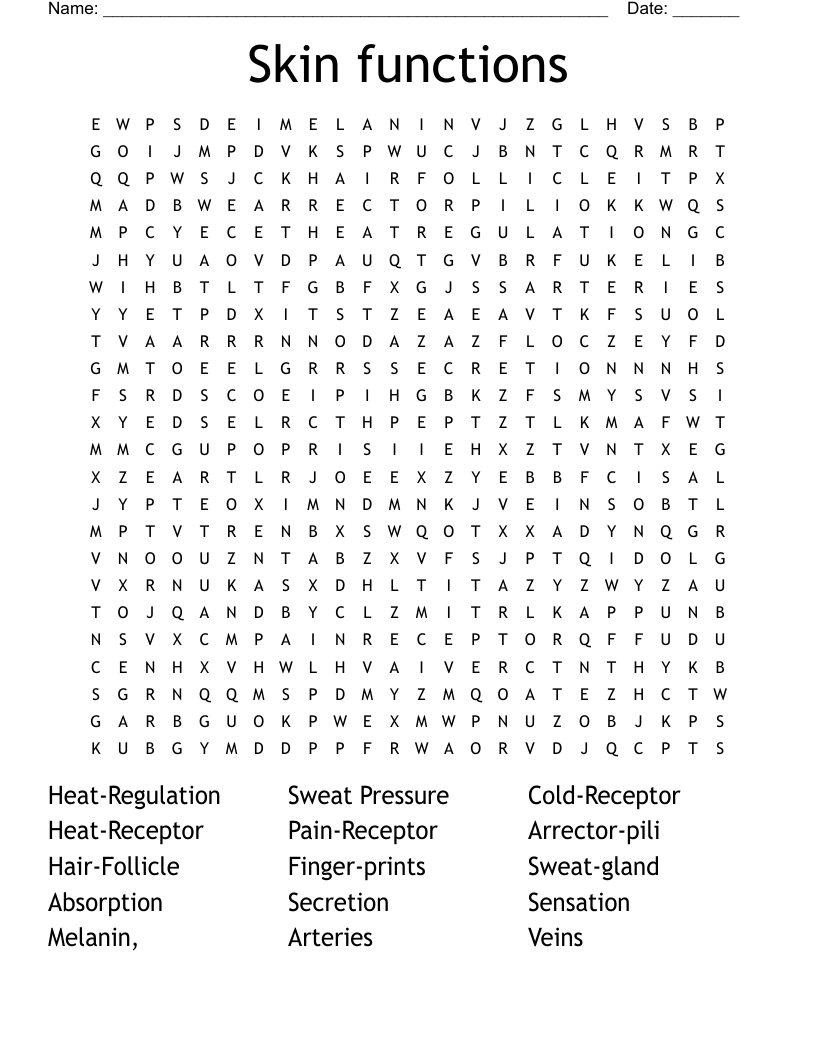 Skin functions Word Search - WordMint