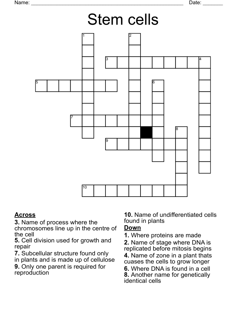Stem cells Crossword - WordMint