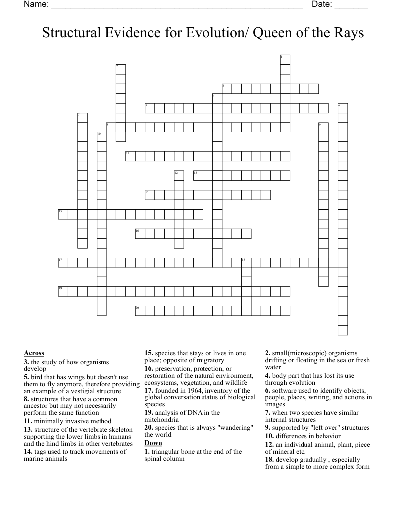 Structural Evidence for Evolution/ Queen of the Rays Crossword - WordMint