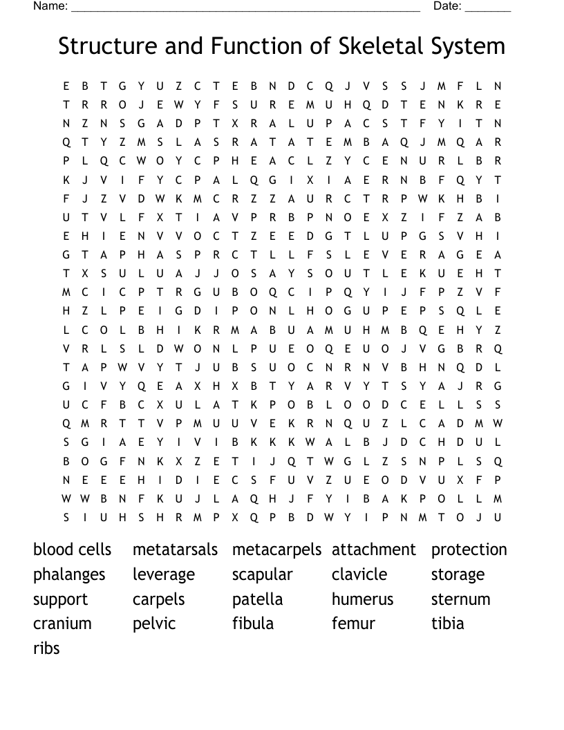 Structure And Function Of Skeletal System Word Search WordMint