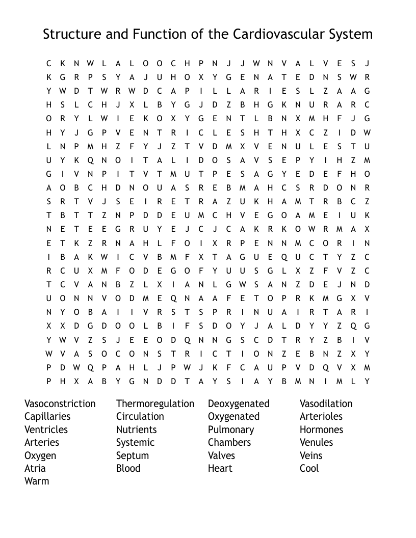 Structure And Function Of The Cardiovascular System Word Search WordMint