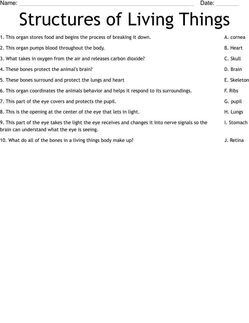 Structures of Living Things Worksheet - WordMint