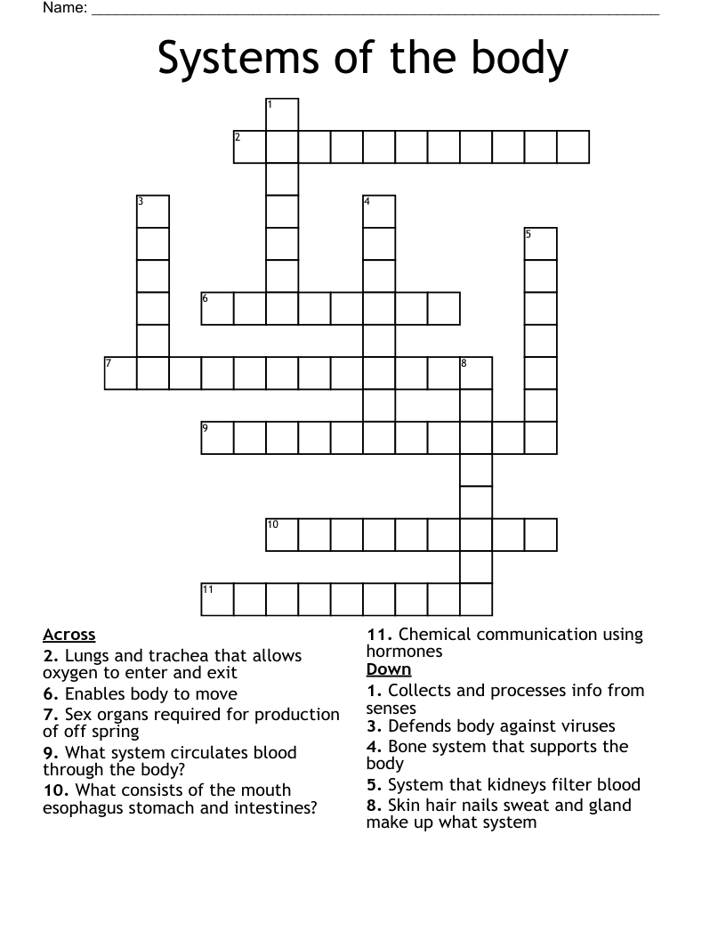 SYSTEMS OF THE NUMAN BODY Crossword WordMint