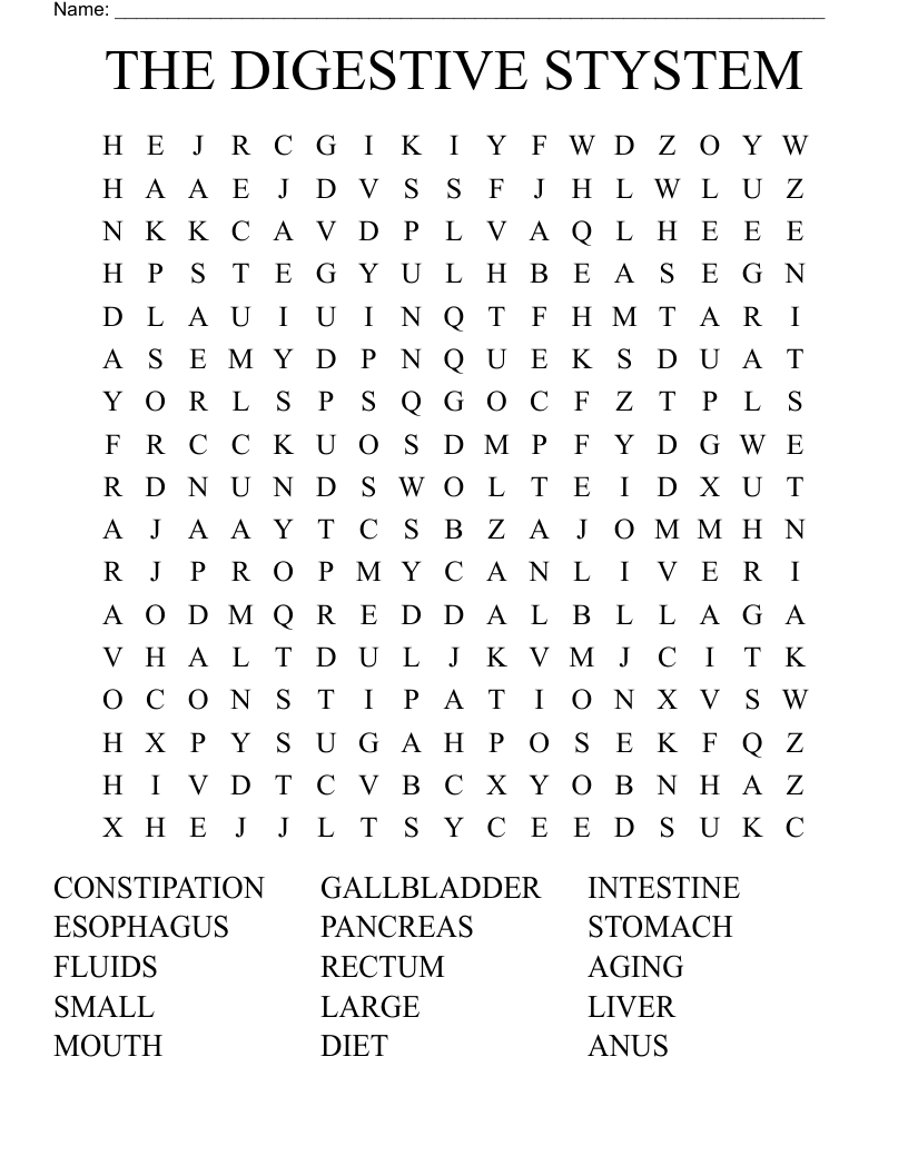 THE DIGESTIVE STYSTEM Word Search - WordMint