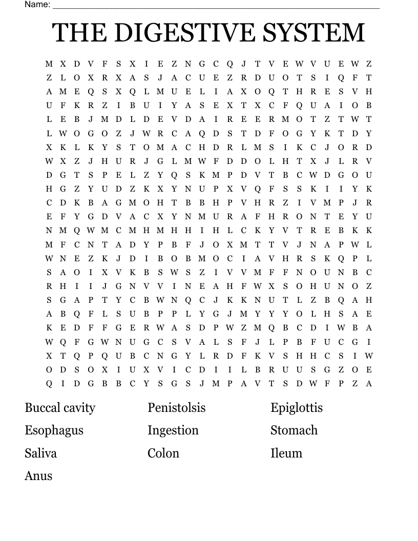THE DIGESTIVE SYSTEM Word Search - WordMint