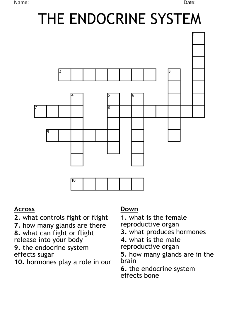 THE ENDOCRINE SYSTEM Crossword - WordMint