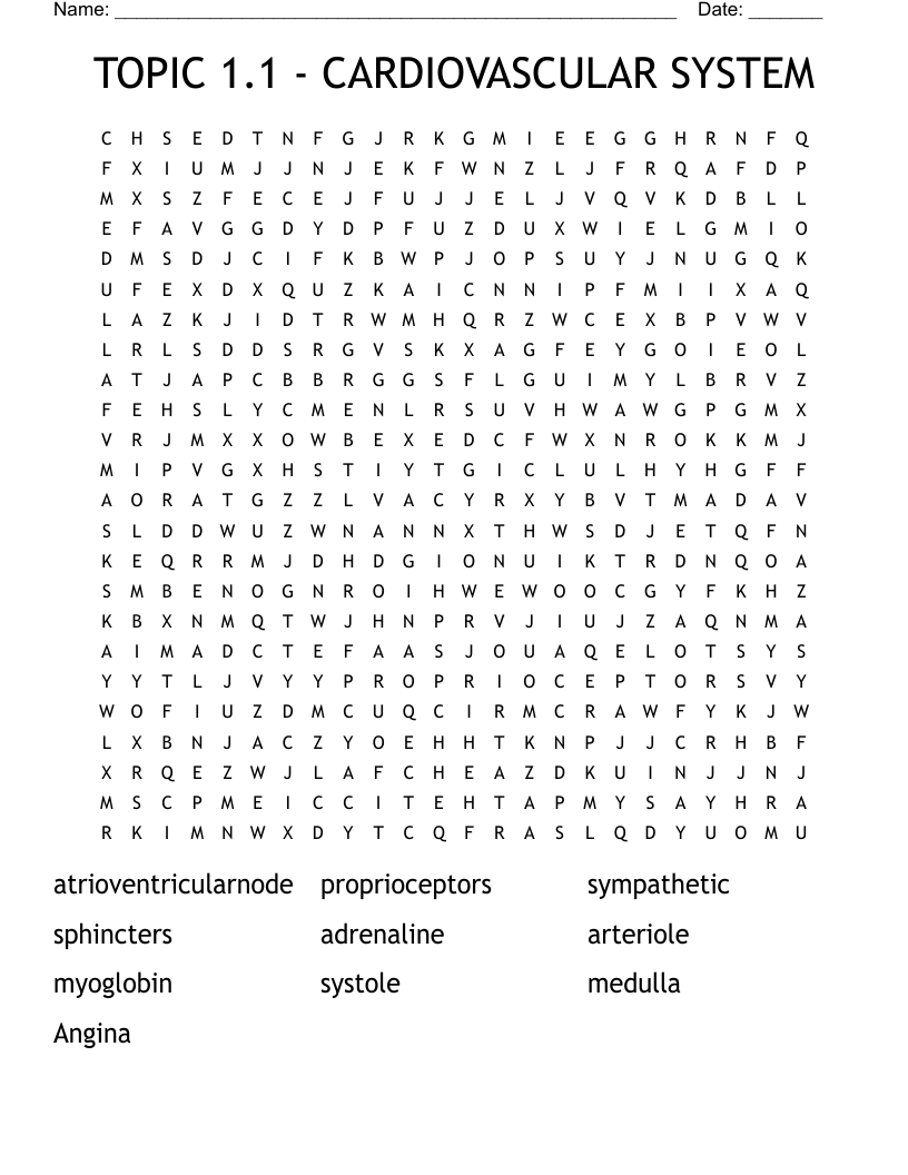 TOPIC 1.1 - CARDIOVASCULAR SYSTEM Word Search - WordMint