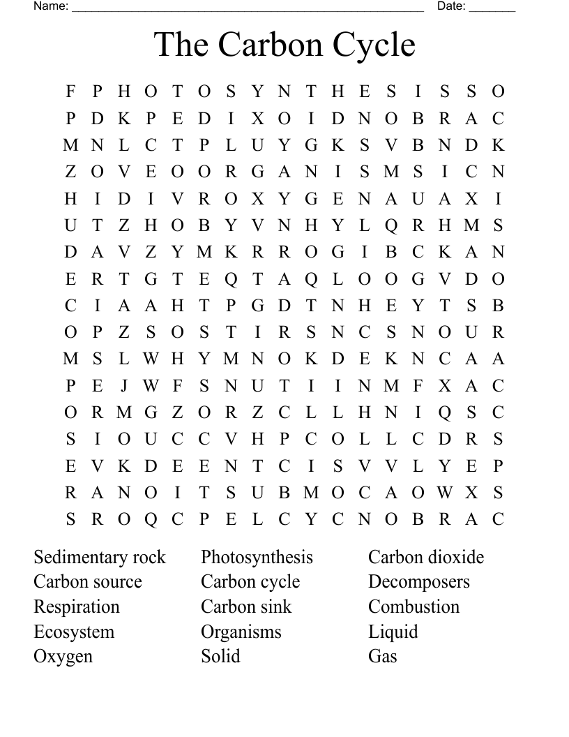 The Carbon Cycle Word Search - WordMint