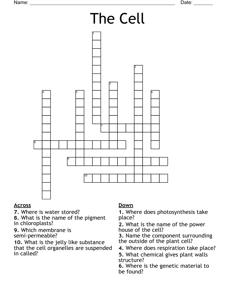 The Cell Crossword - WordMint