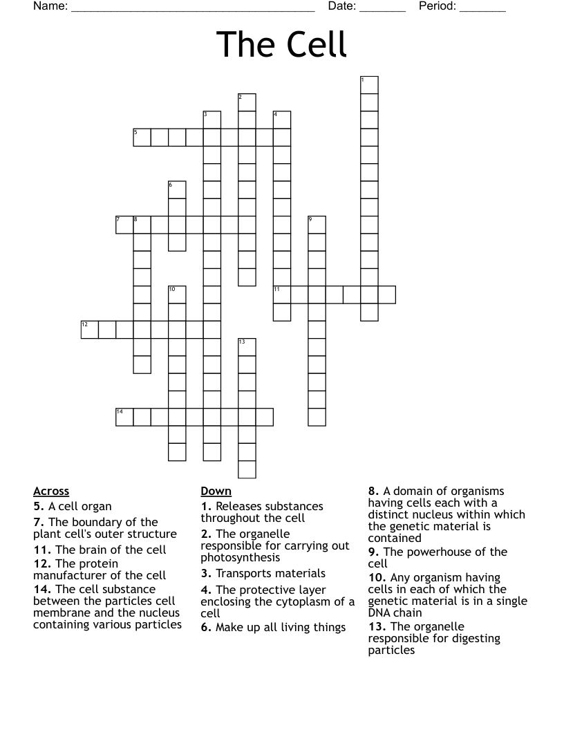 The Cell Crossword - WordMint