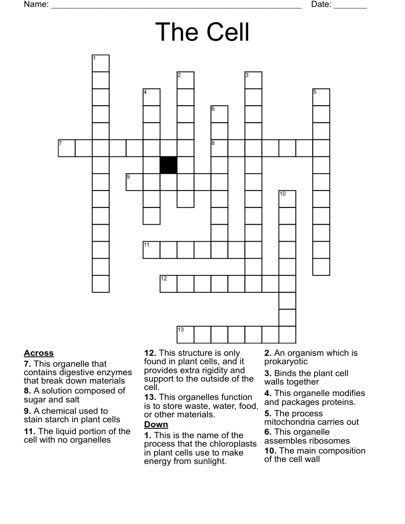 The Cell Crossword - WordMint