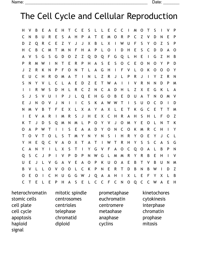 The Cell Cycle And Cellular Reproduction Word Search WordMint