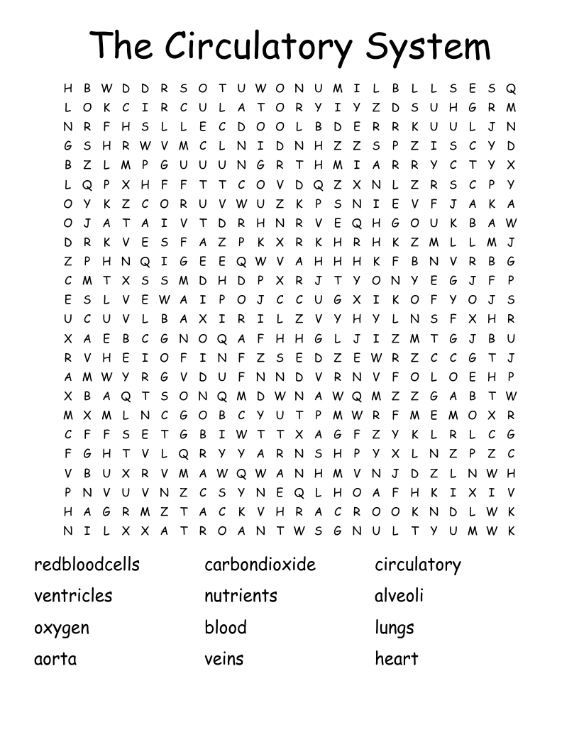 The Circulatory System Word Search - WordMint
