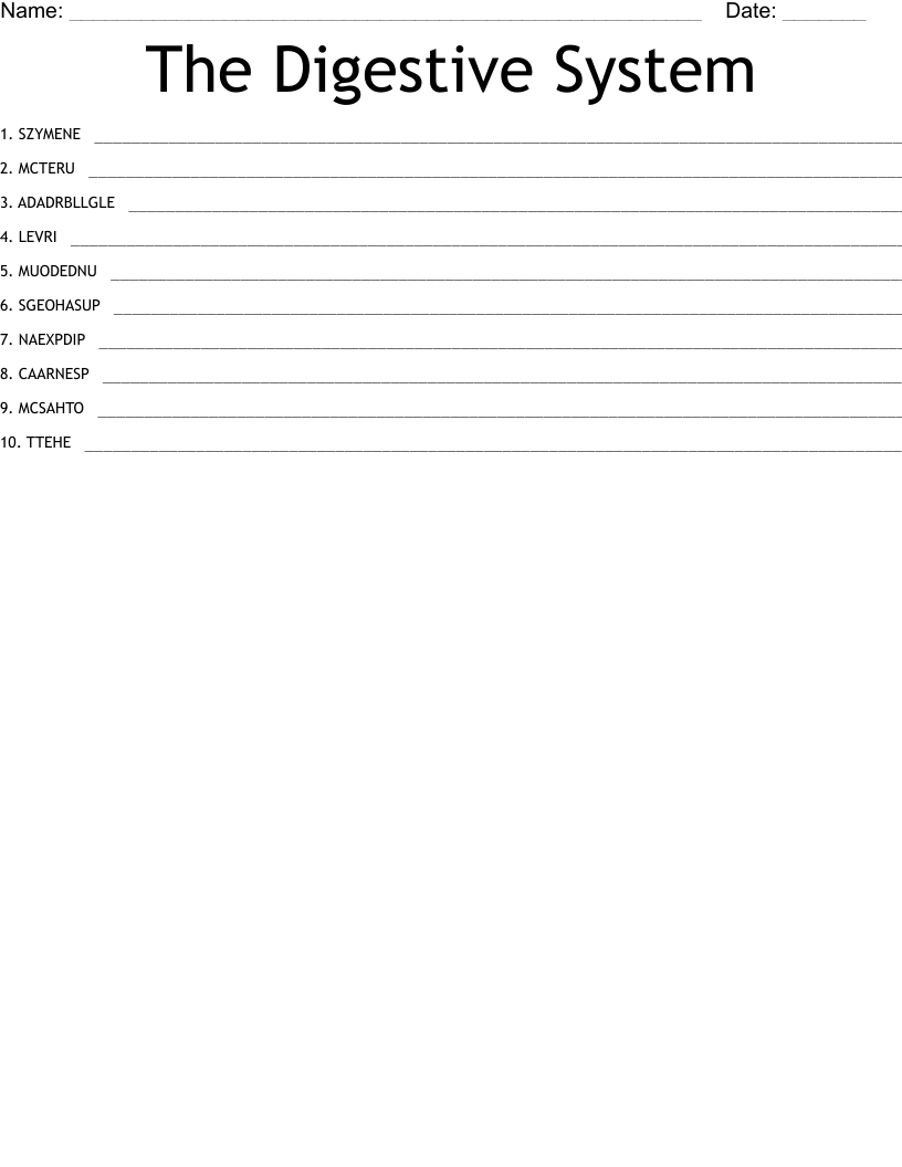 The Digestive System Word Scramble - WordMint