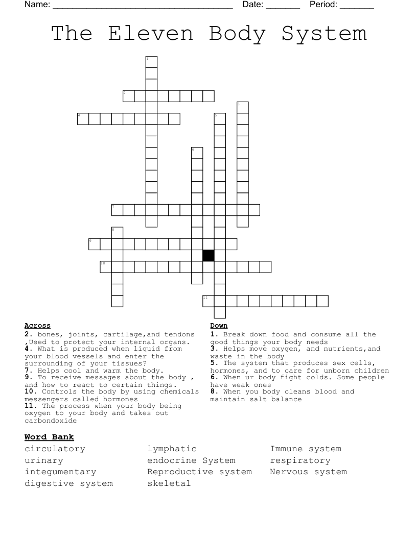 The Eleven Body System Crossword - WordMint