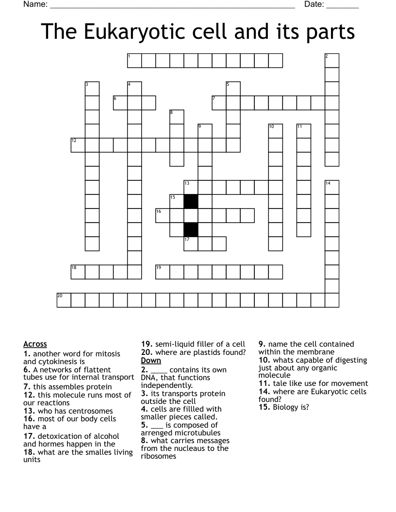 The Eukaryotic cell and its parts Crossword - WordMint