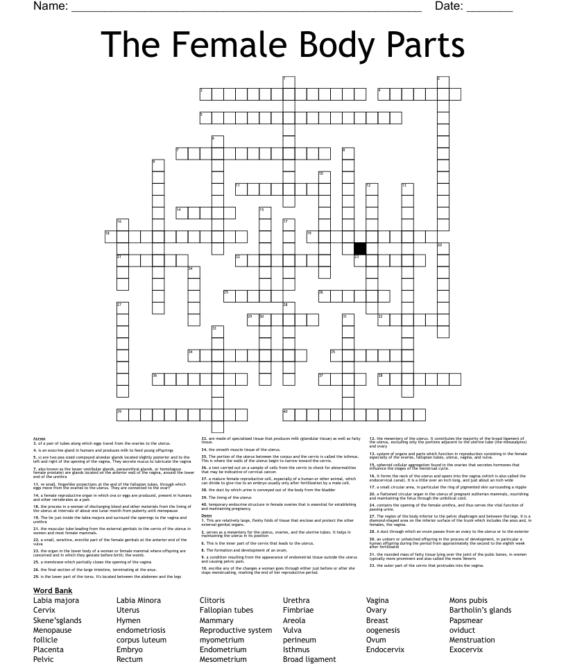 Female Body Parts Name Human Body Parts Name With Picture In Gujarati 