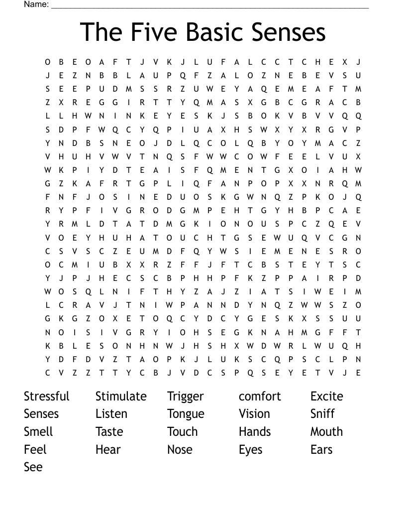 The Five Basic Senses Word Search WordMint