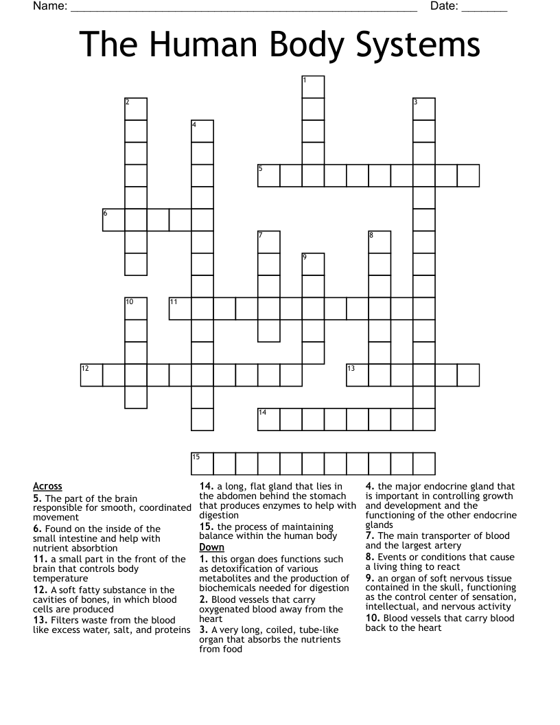 The Human Body Systems Crossword WordMint