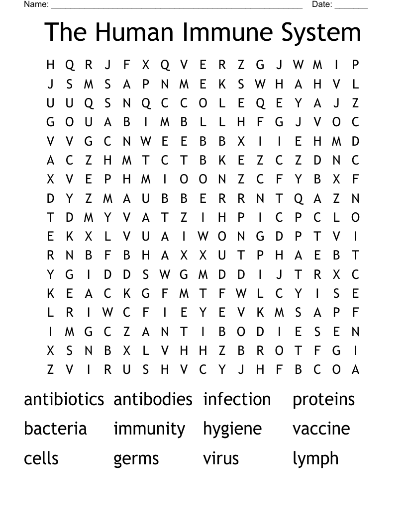 The Human Immune System Word Search - WordMint