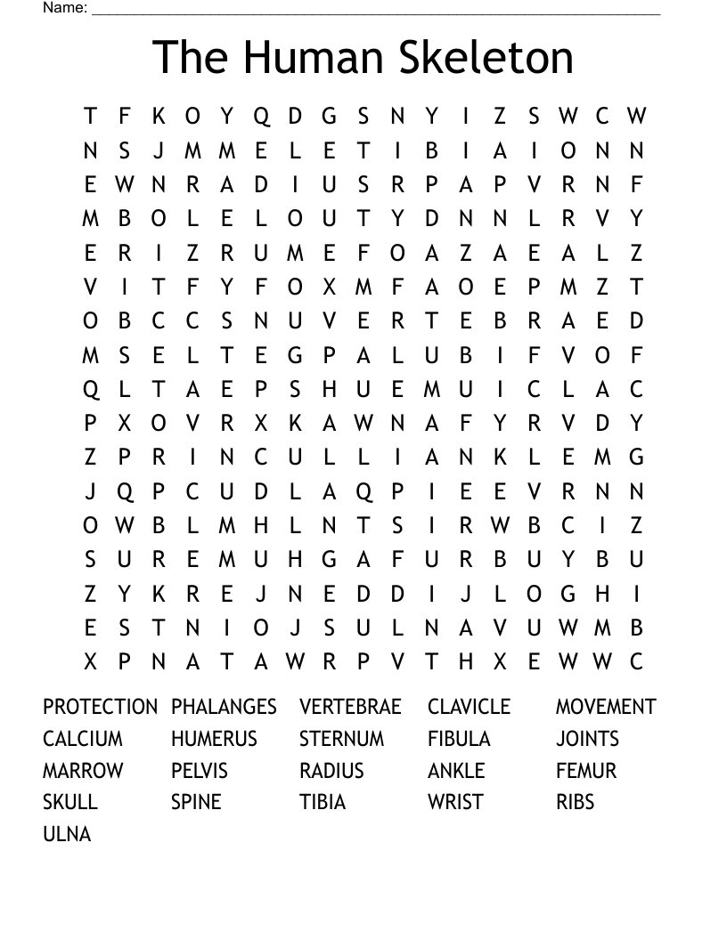 The Human Skeleton Word Search WordMint