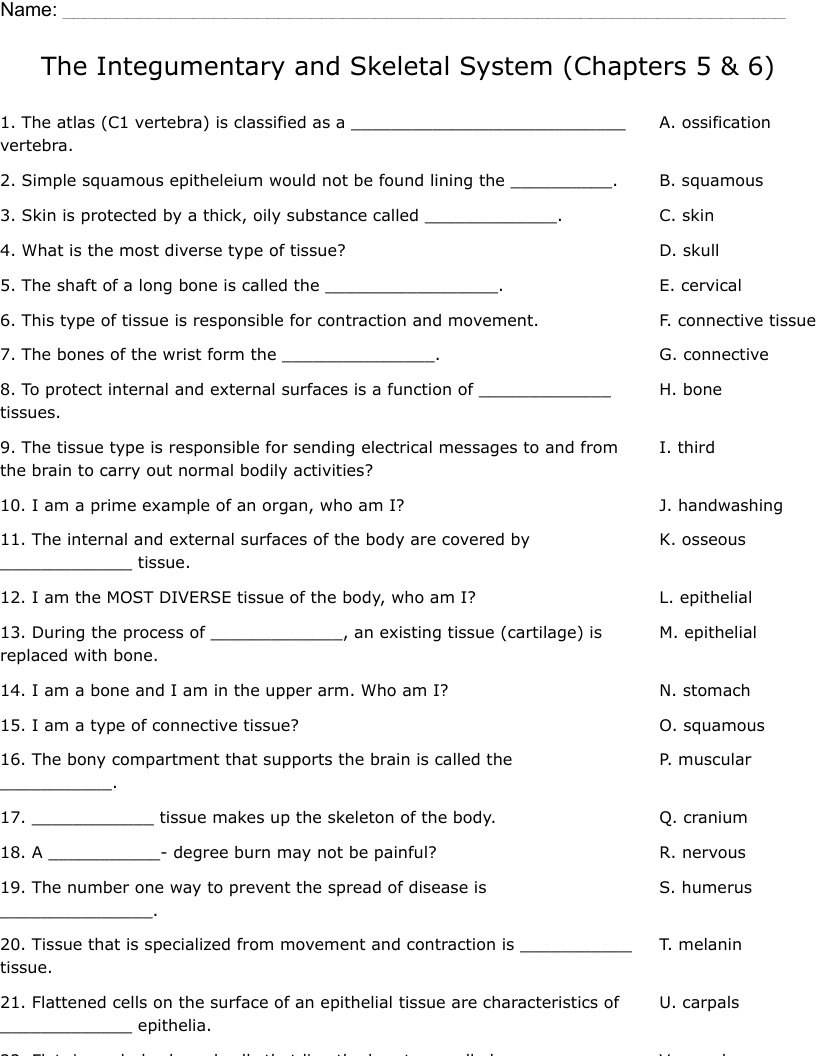 The Integumentary and Skeletal System (Chapters 5 & 6) Worksheet - WordMint