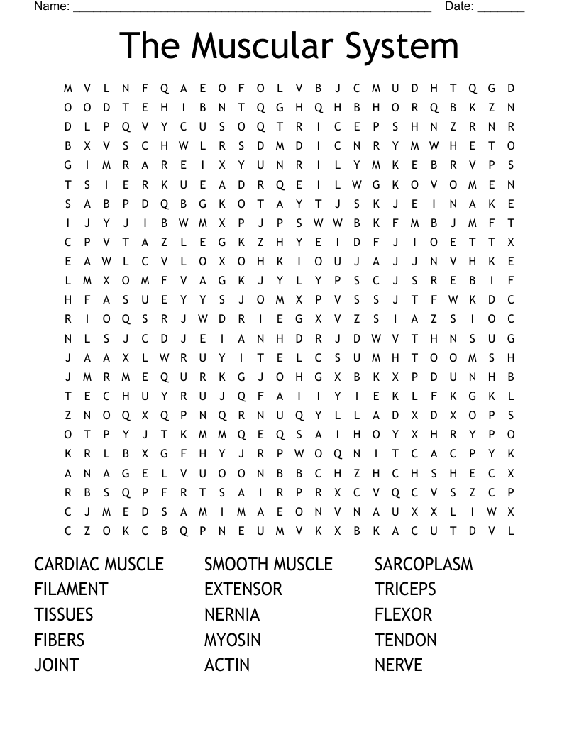 The Muscular System Word Search WordMint
