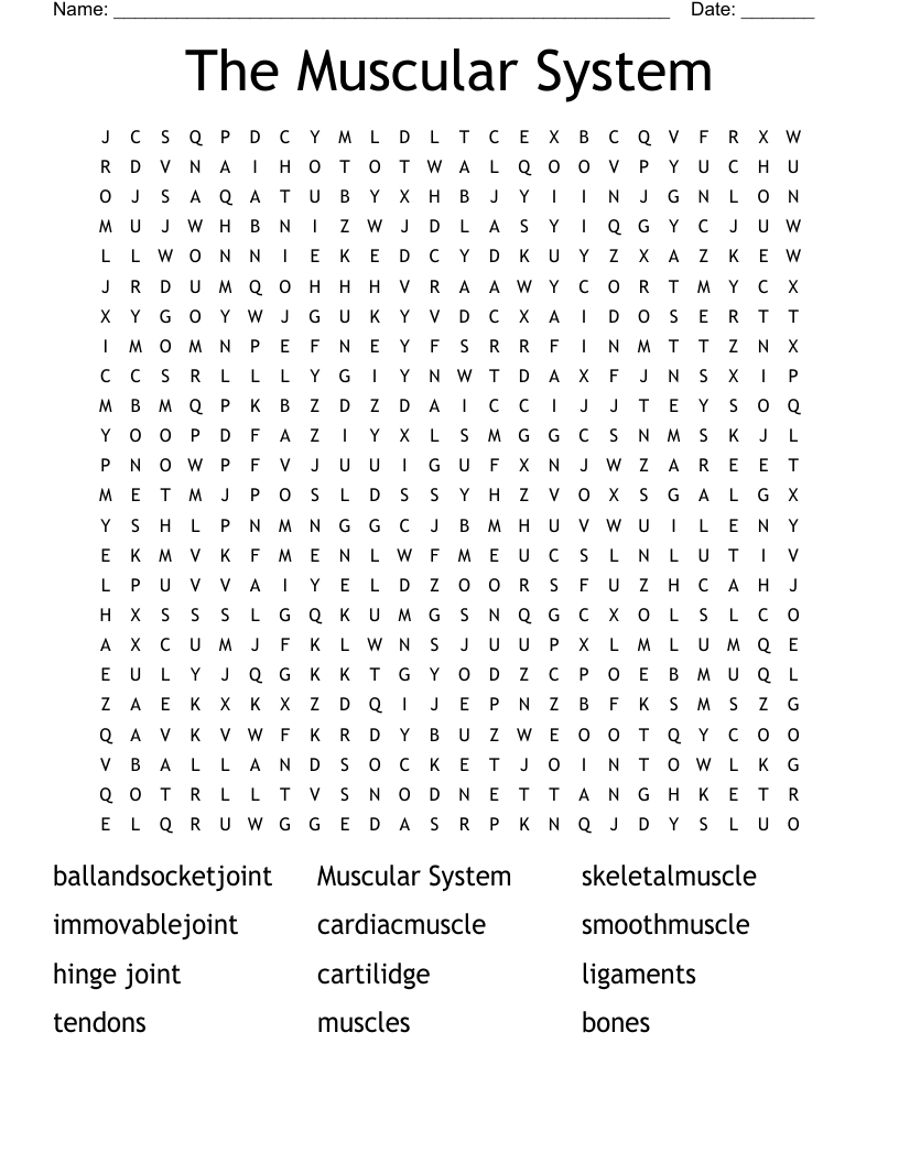 The Muscular System Word Search WordMint