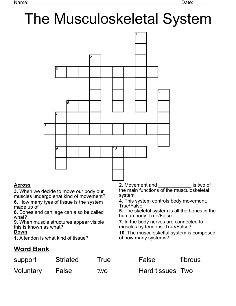 The Musculoskeletal System Crossword - WordMint
