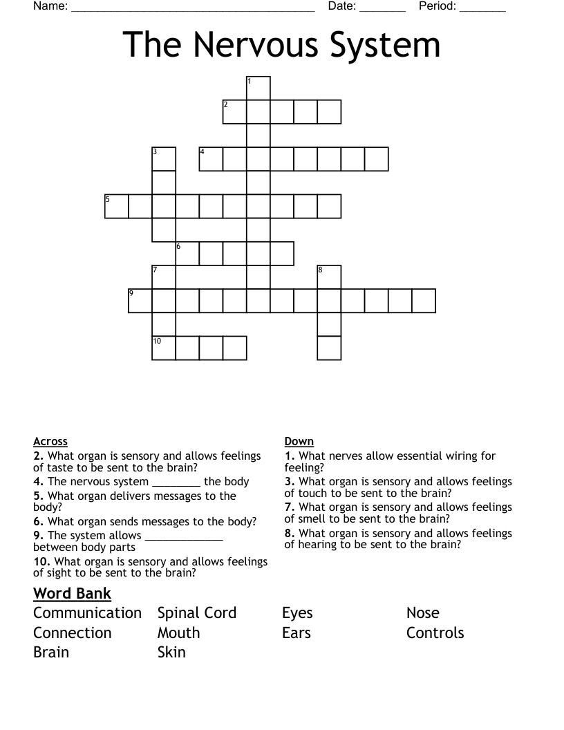 The Nervous System Crossword - WordMint