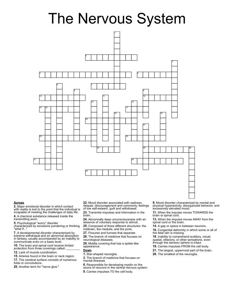 The Nervous System Crossword - WordMint