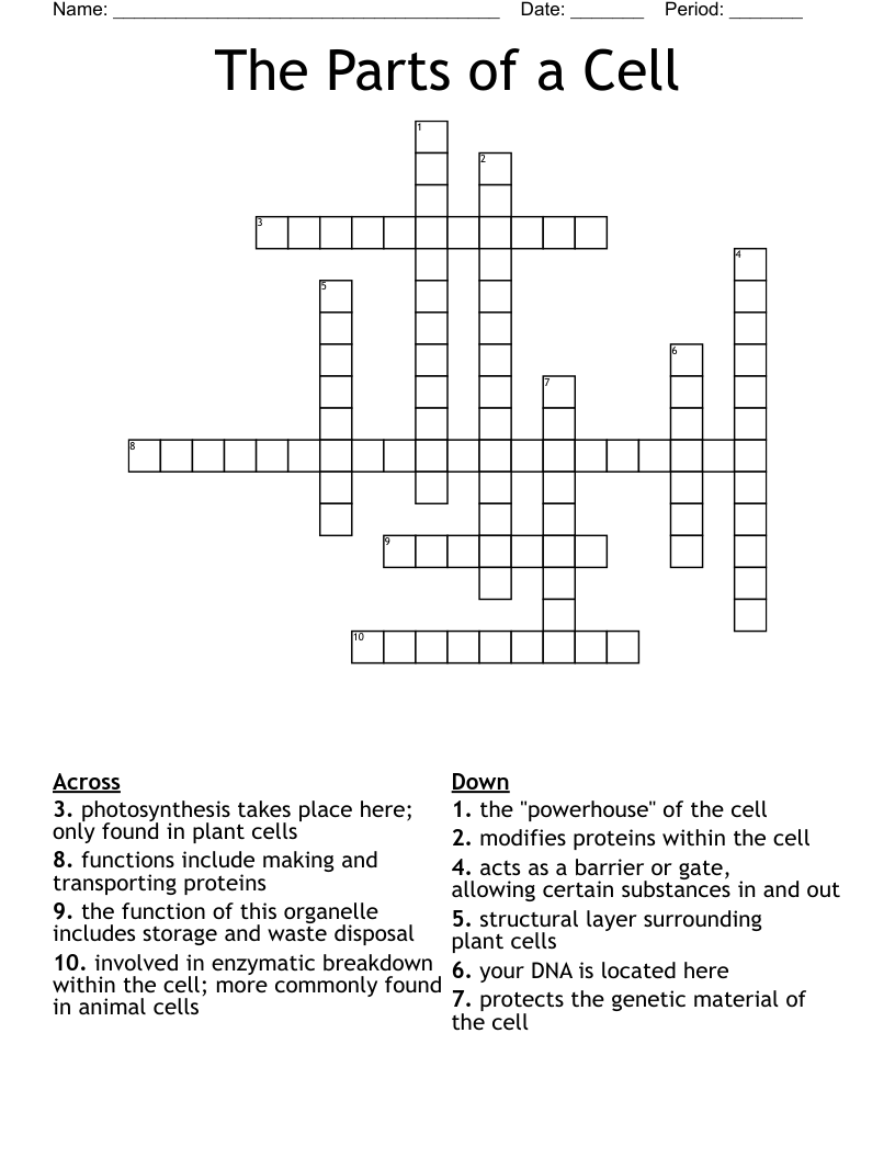 The Parts of a Cell Crossword - WordMint