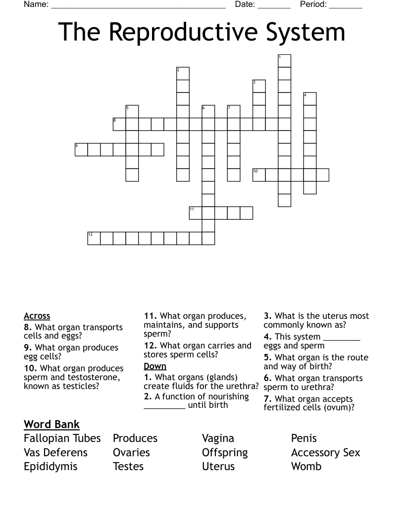 The Reproductive System Crossword - WordMint