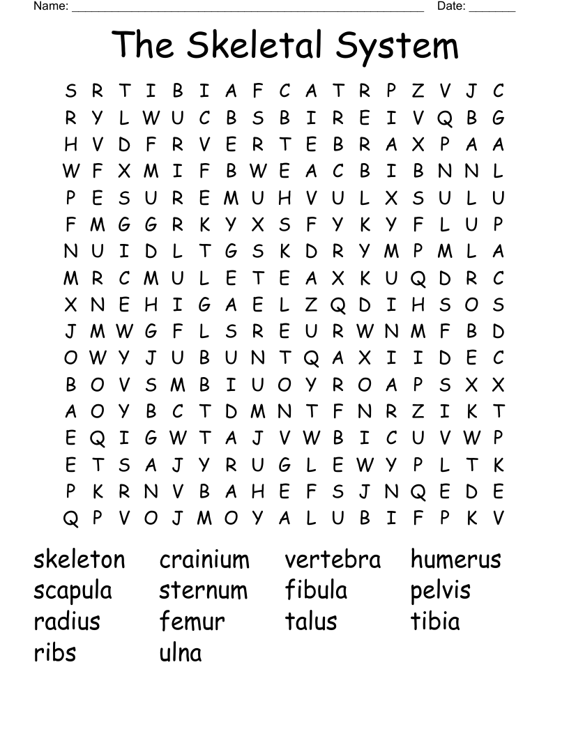 The Skeletal System Word Search - WordMint