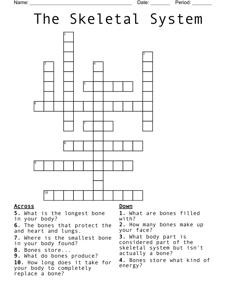 The Skeletal System Crossword - WordMint