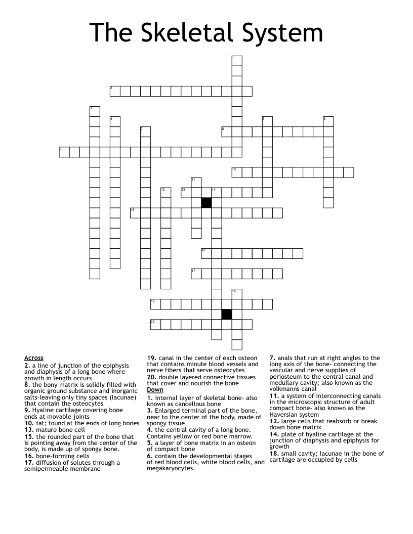 The Skeletal System Crossword WordMint