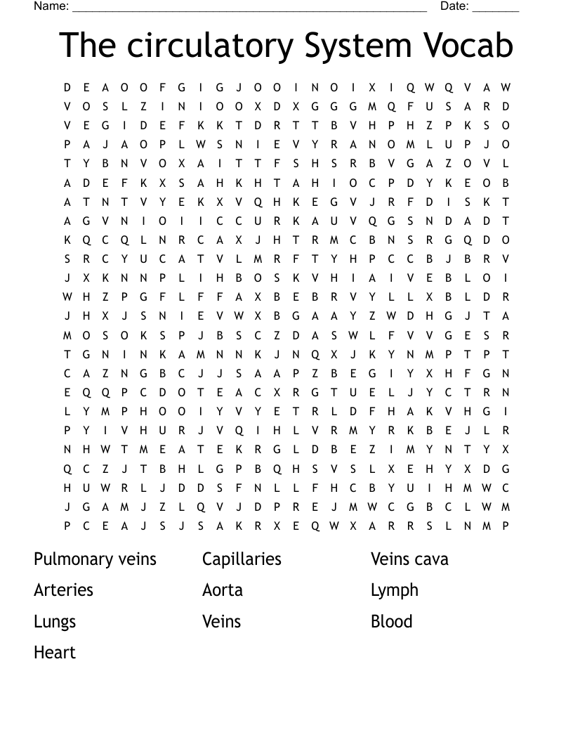 The circulatory System Vocab Word Search - WordMint